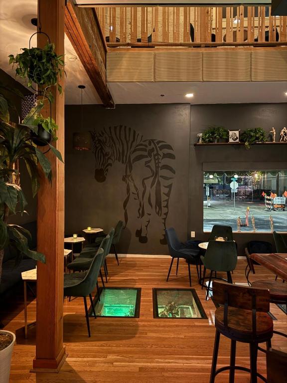 Unicorn Zebra, Tucson (updated prices 2025)