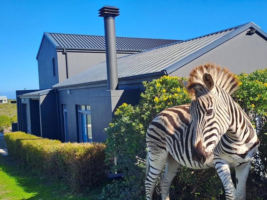 Romansbaai Beach House, Gansbaai (updated prices 2026)