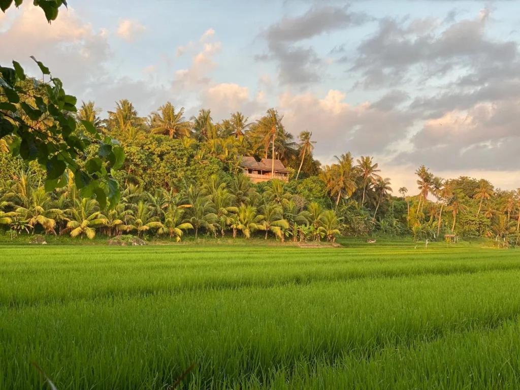 Cliff House Balian, Balian (prețuri actualizate 2025)