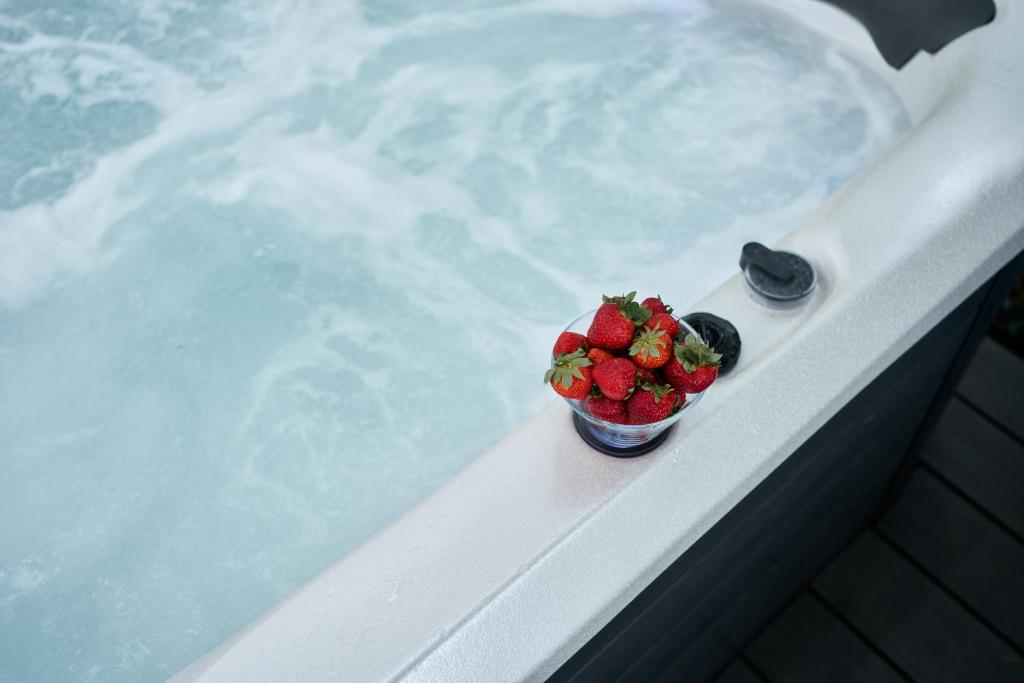 Historical Luxury Homes - Stadtvilla mit Jacuzzi und Garten, Freiburg ...