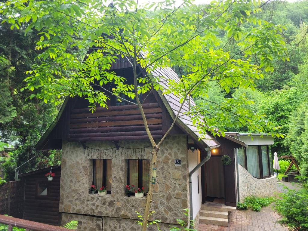 Patak Dream House, Szokolya (precios actualizados 2025)