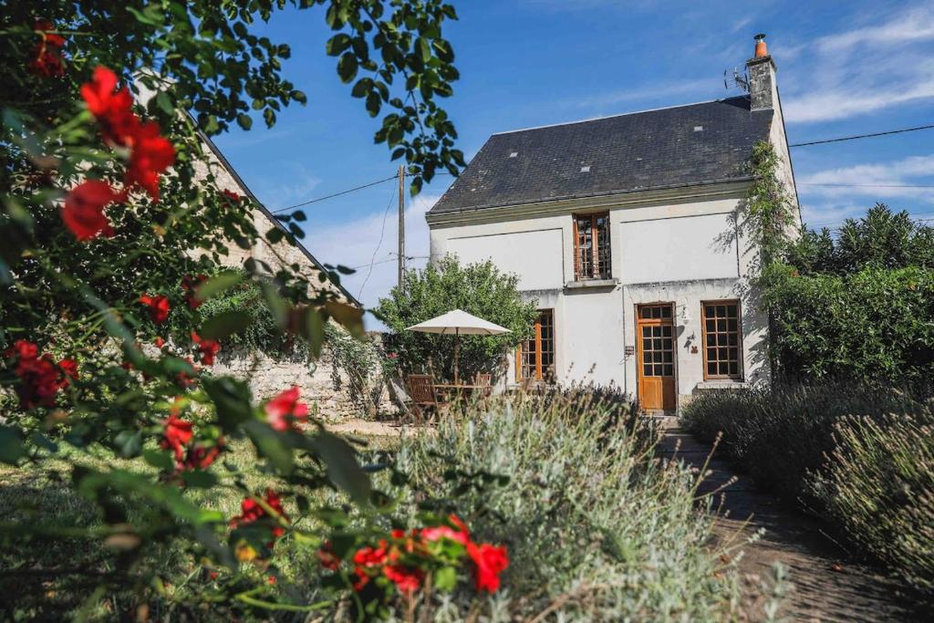 A great place to explore the Val de Loire, Chinon (updated prices 2025)