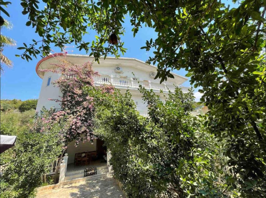 Dhoma Plazhi PARAJSA Spille, Spille (updated prices 2025)