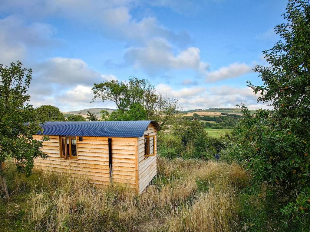 Woodpecker Hill - Shepherds Hut Alfriston, Алфристон (актуальные цены ...
