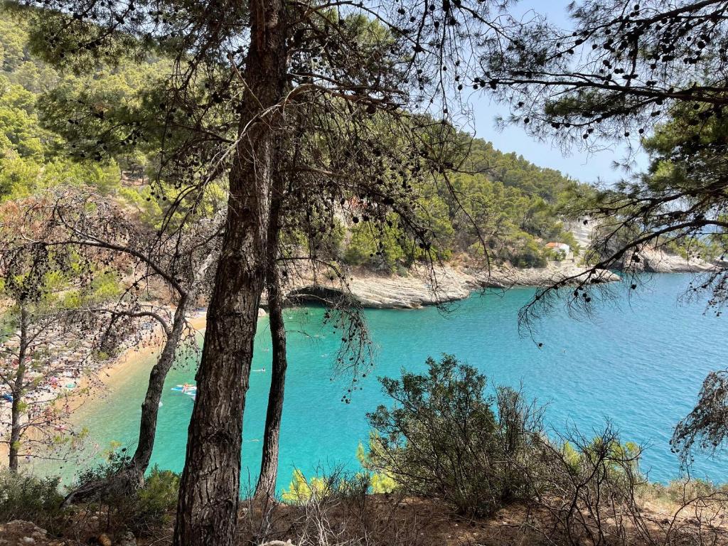 Pugnochiuso-Gargano-fronte mare 21 giugno-5 luglio 2025 ปุนโญคิอูโซ ...