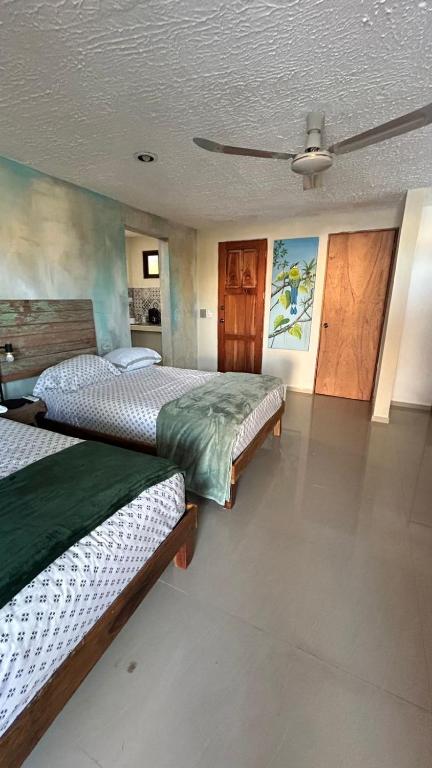 Cozy and Central Room, Mérida (updated prices 2025)