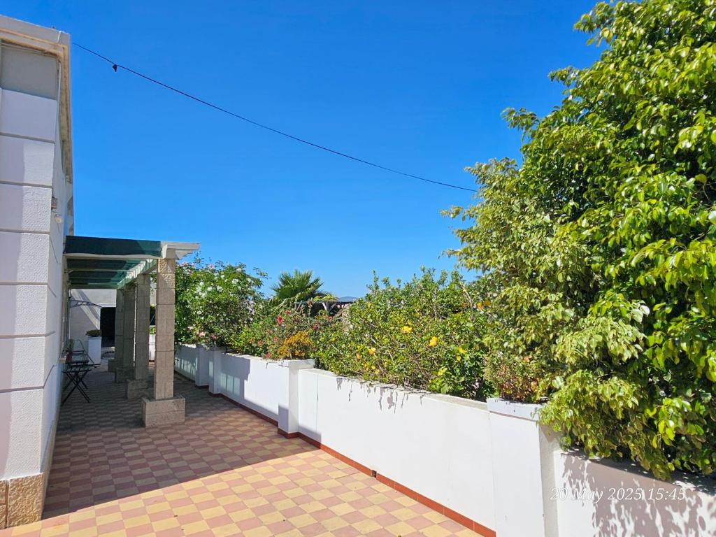 BLife Salinya private rooms at N125, Olhão (updated prices 2025)