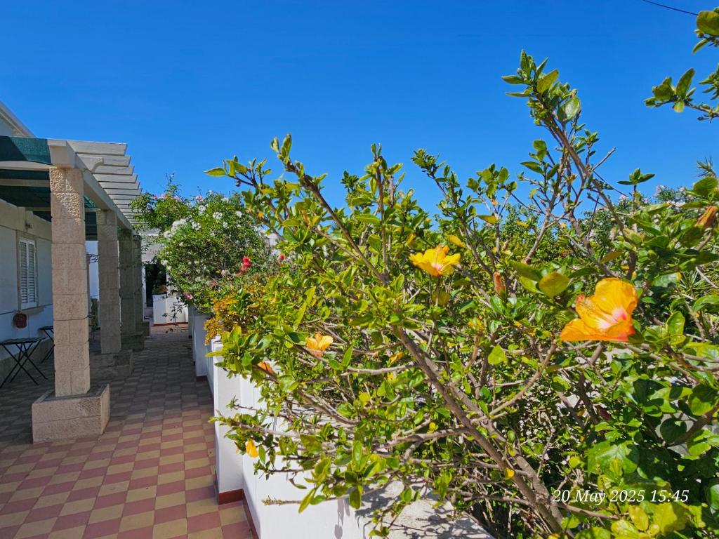 Blife Salinya private rooms at N125, Olhão (updated prices 2026)