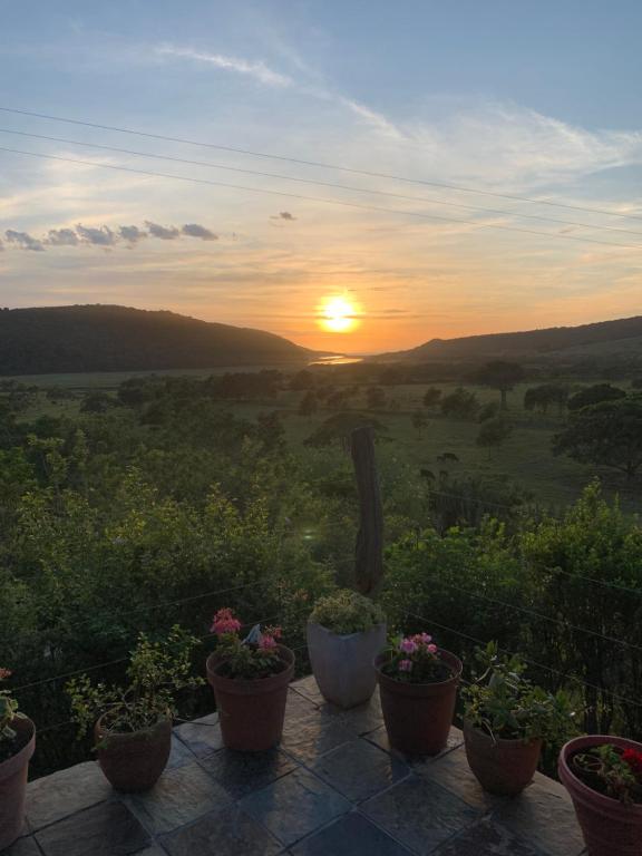 Fish Eagle Cottage at Viskop, Vosburg (updated prices 2026)