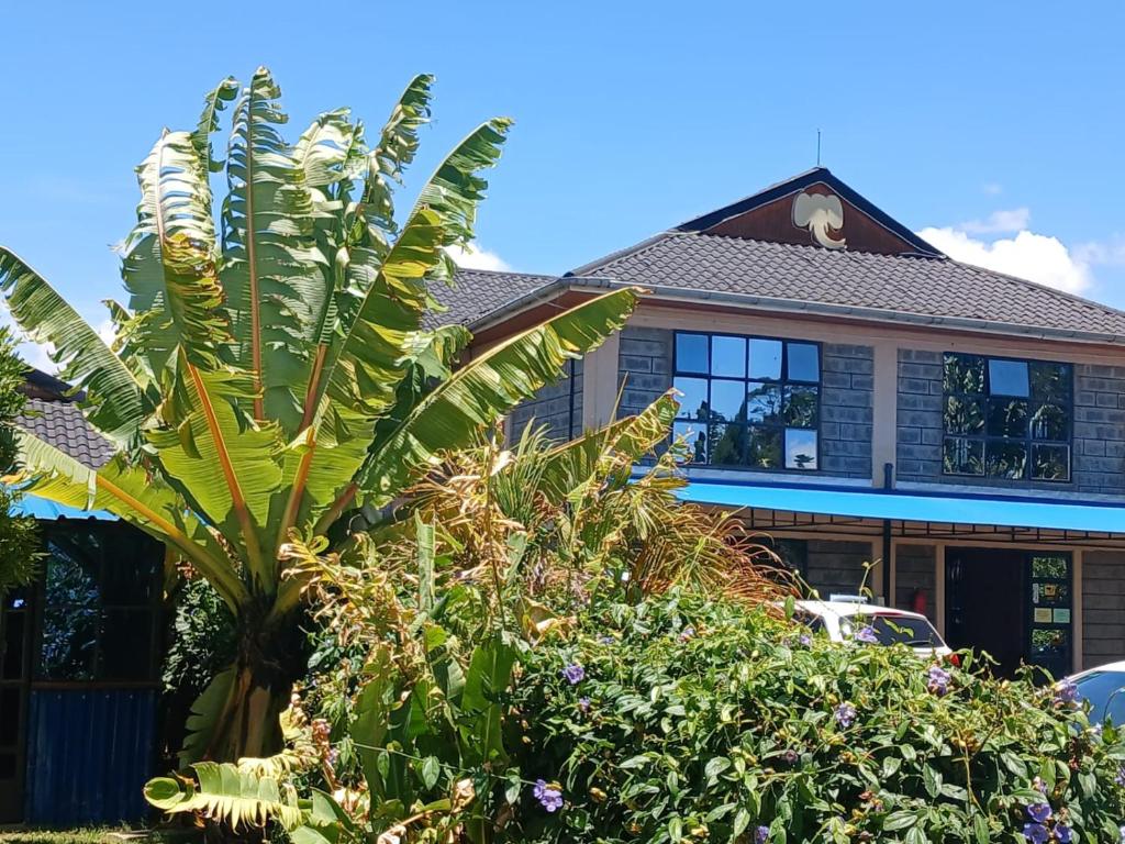 Jafra Elephant inn, Eldoret (updated prices 2025)