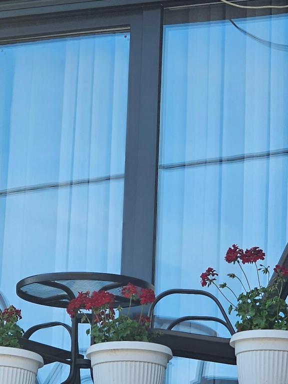 Apartmani Rekovic, Kravlja (updated prices 2025)