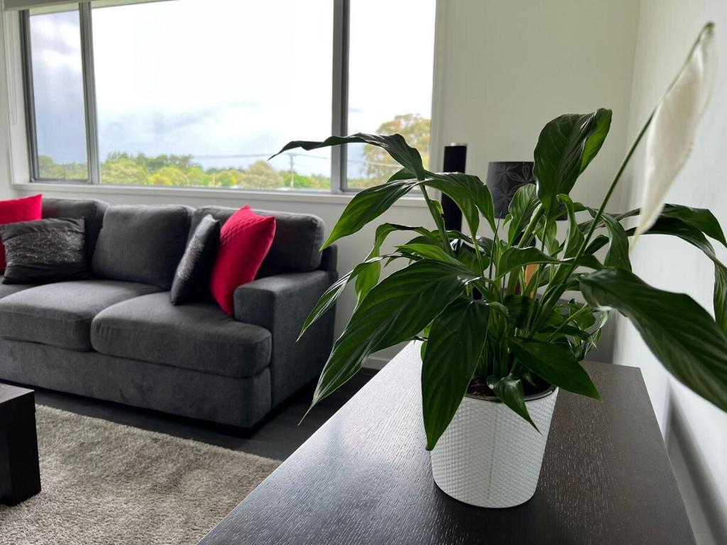 Luxury B&B Steps Away From Most Wedding Venues of Kumeu!, Kumeu ...