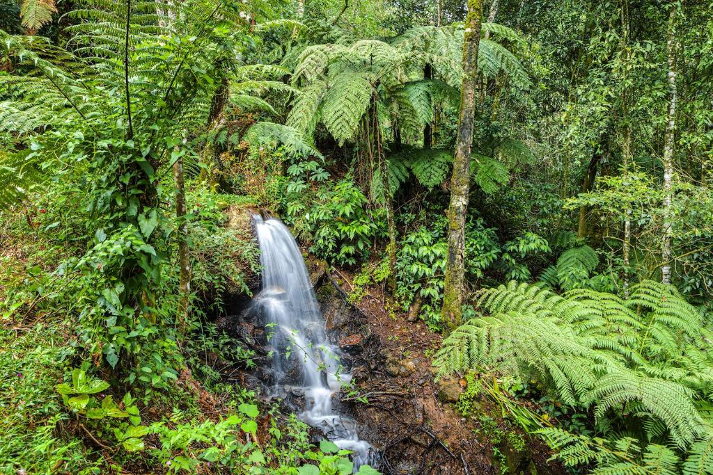 Estalagem Spiller, Monte Verde (preços atualizados para 2025)