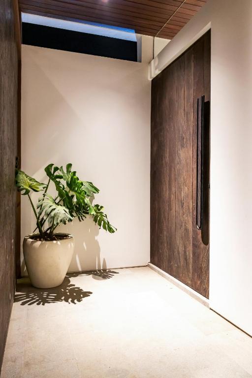 Botanika Estate Private Pool Villa, Canggu (updated prices 2025)