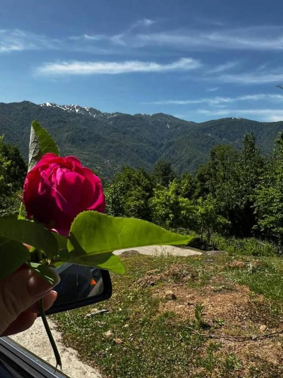 Eco Cottage Panorama Merisi, Keda (updated prices 2025)