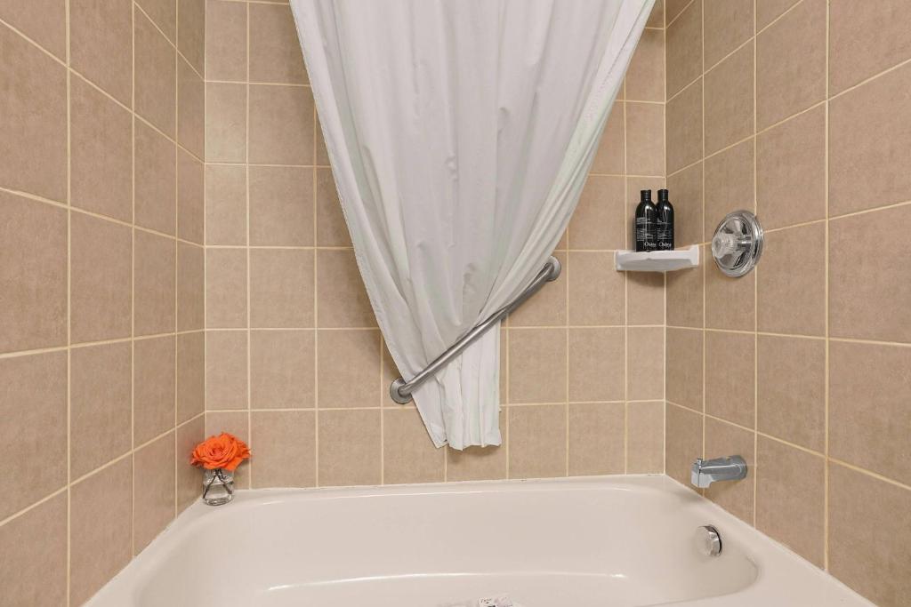 The Jordan Hotel Ramada by Wyndham, Jordan (updated prices 2025)