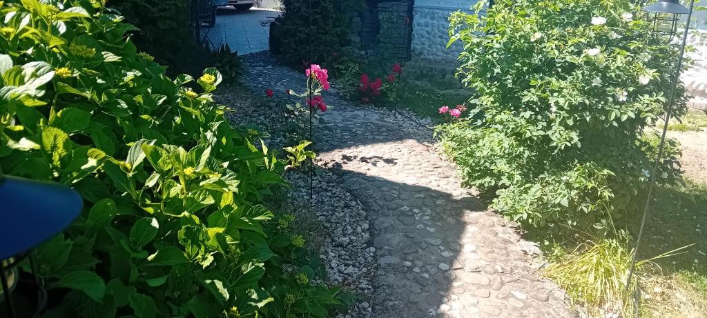 ROSE ROOM 40m2 with terrace 25m2 in greeny area for 4 person, Ljubljana ...