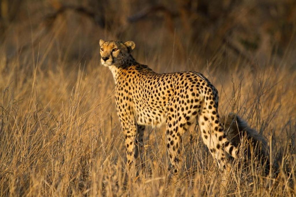 Ashridge Safari Guesthouse & Restaurant, Hazyview (updated prices 2025)