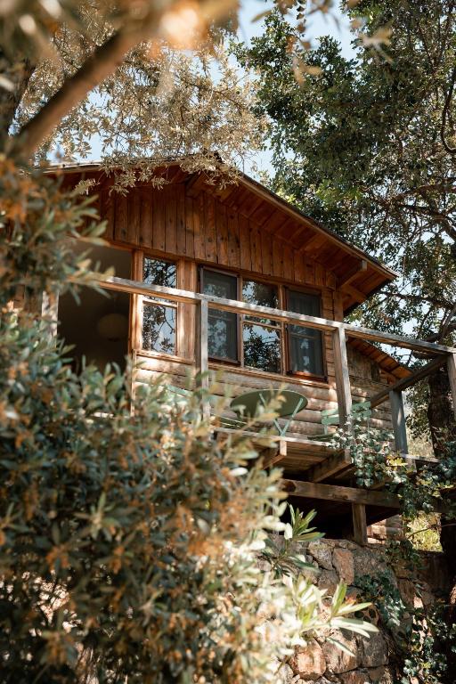 Olive Garden Kabak, Faralya (updated prices 2025)