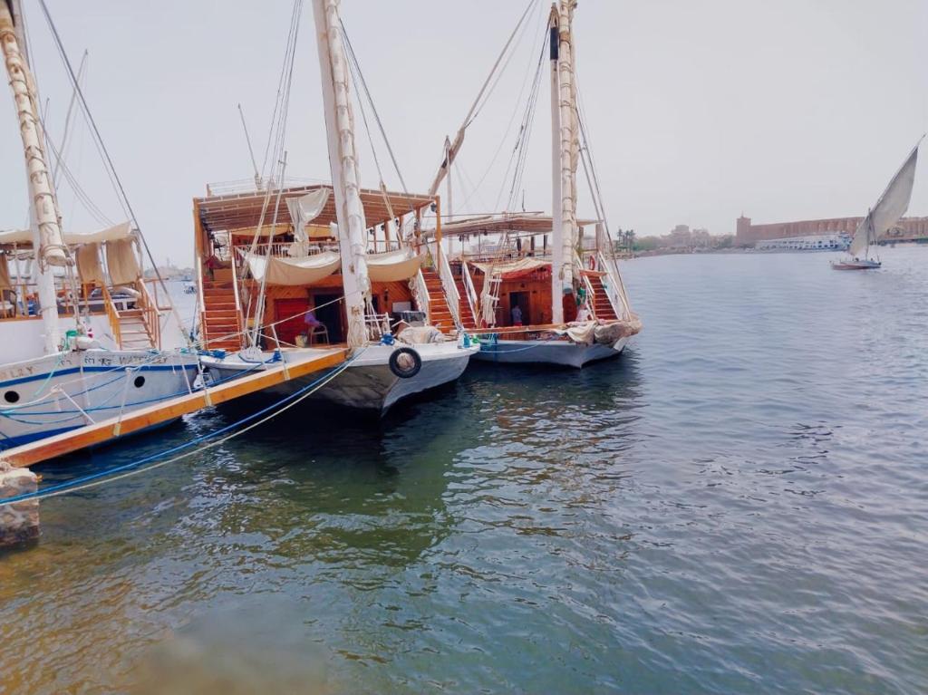 Floating Hotel - Family Home Nile Boat, Jazīrat al ‘Awwāmīyah ...