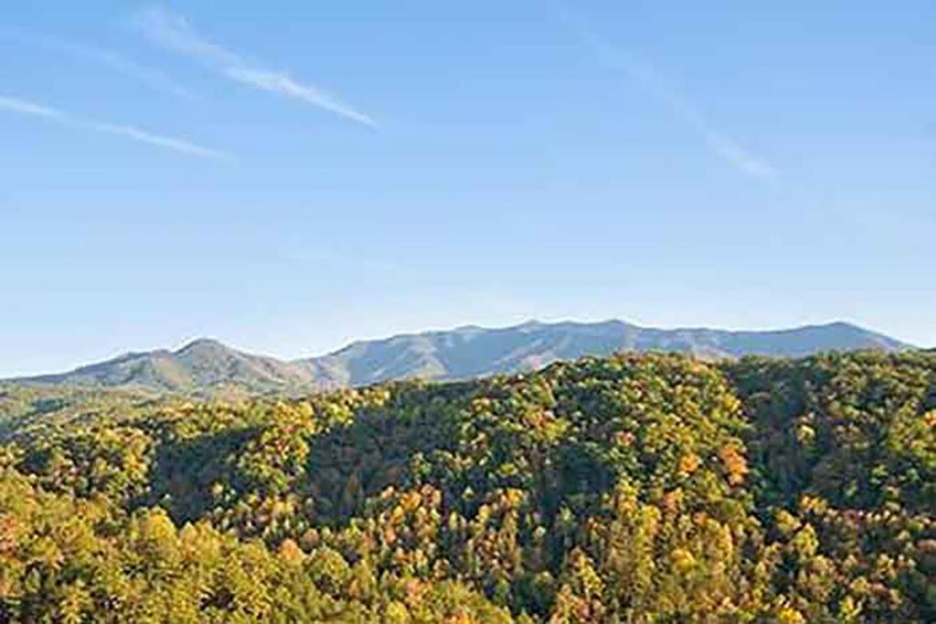 Mountain Therapy by Venture Smoky Mountains, Gatlinburg (updated prices ...