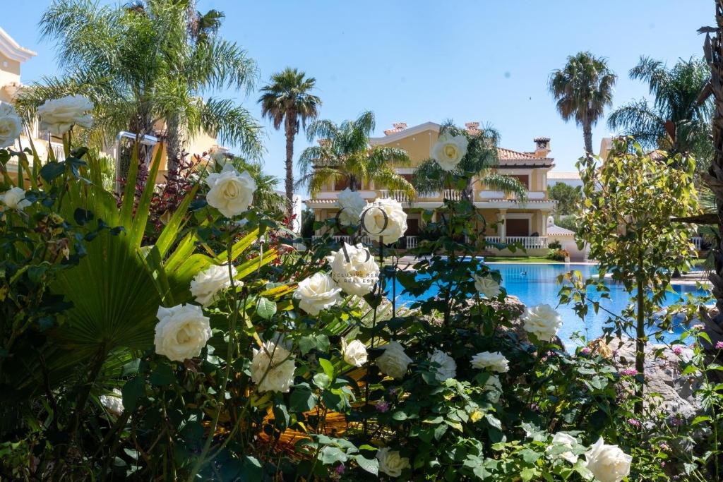 Sunny Escape w Pool & Garden by The Coast Exclusive Rentals, Tavira ...