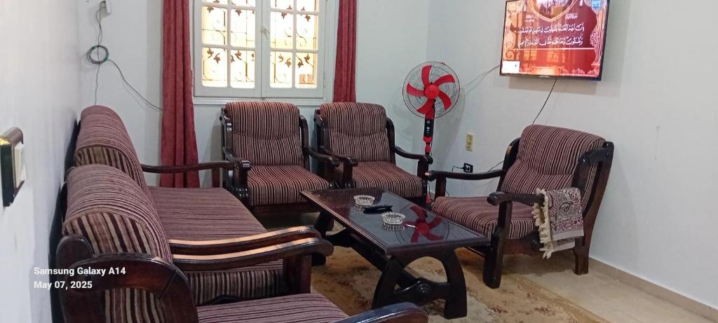 Apartment For Rent In Miami,Alexandria, Aleksandria (2025. aasta ...