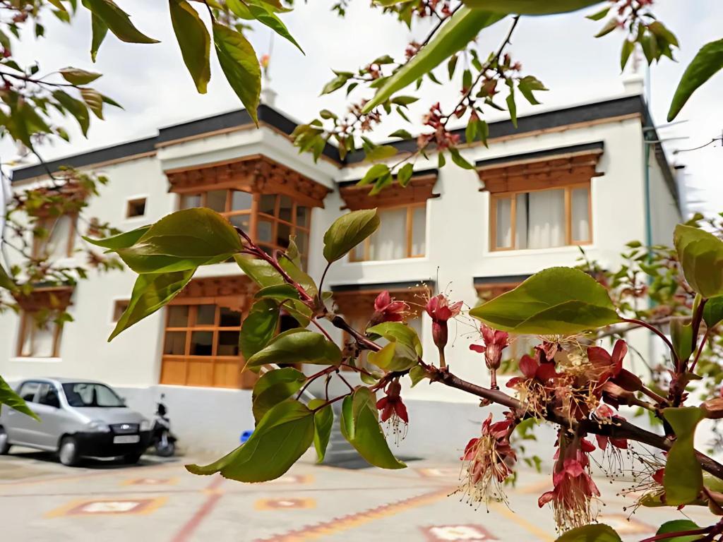 Sixteen Arahat guest house, Leh (updated prices 2026)