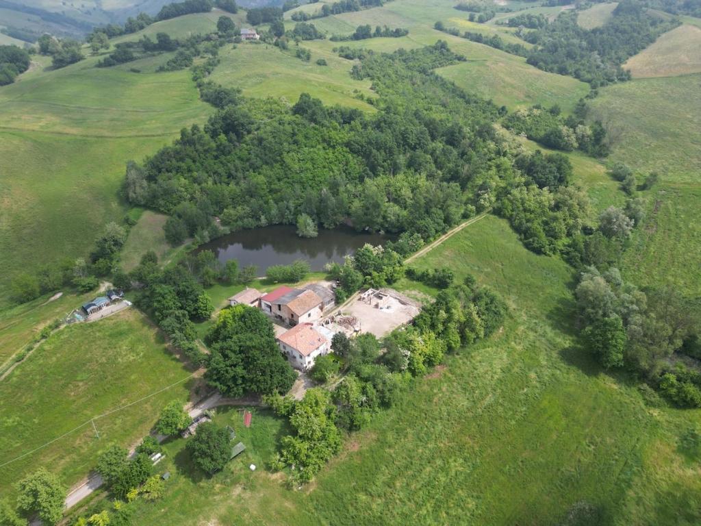 La Collina dei Conigli - immersi nella natura, Montebabbio (updated ...