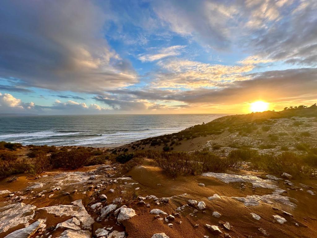 Ocean By La Siredrah（Ouassane）：（最新料金：2025年）