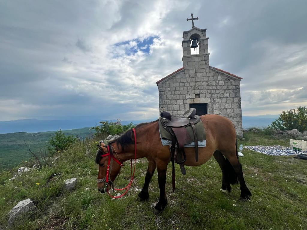 camping and horseback riding Parci, Podgorica (tarifs actualisés, 2025)