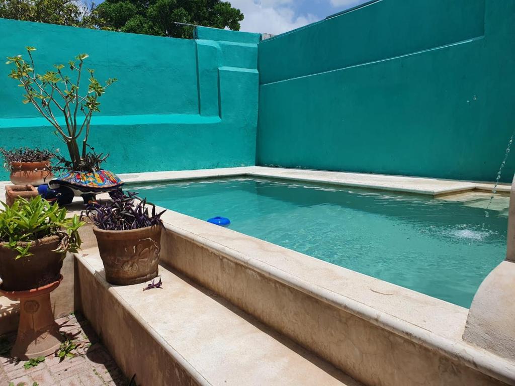Pool, garden and colonial charm!, Mérida (prezzi aggiornati per il 2025)