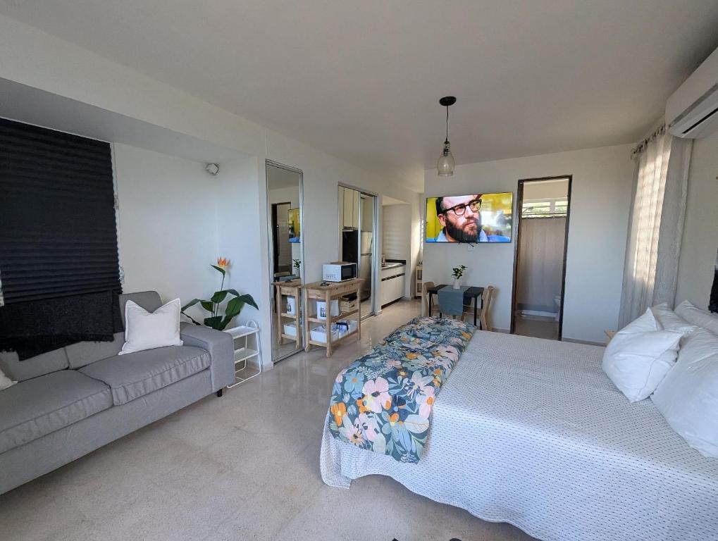 Explorers Fortuna Studio, Luquillo (updated prices 2025)