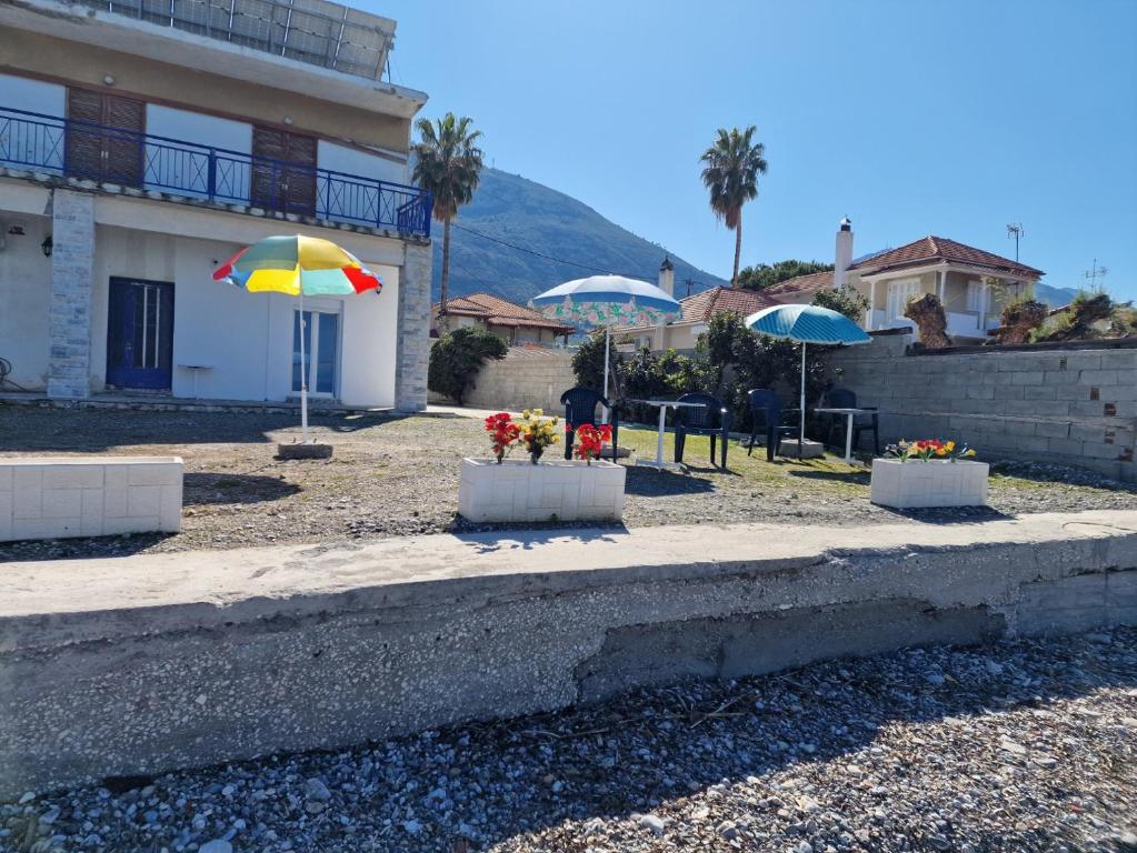 Auxo, Holiday apartments & suites on the sea, Kamárion (updated prices ...