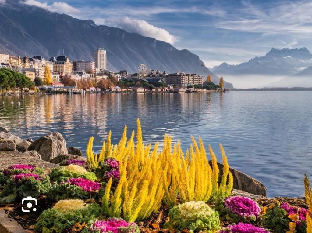 chez Mario, Montreux (updated prices 2026)