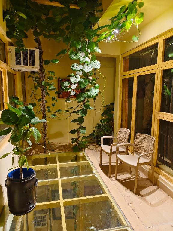 Devi music ashram, Rishikesh (aktualisierte Preise für 2026)