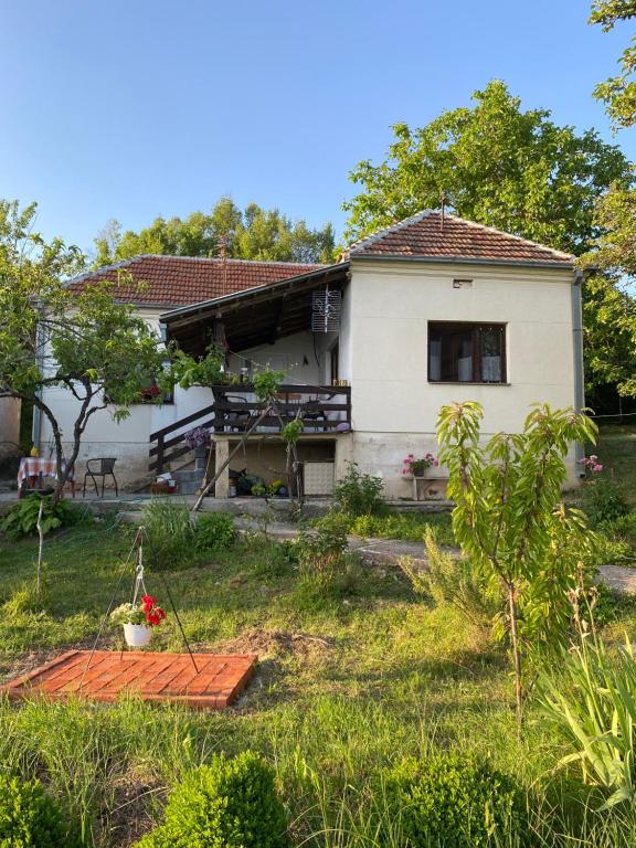 Organska Farma Nebesa, Vrmdža (opdaterede priser for 2025)