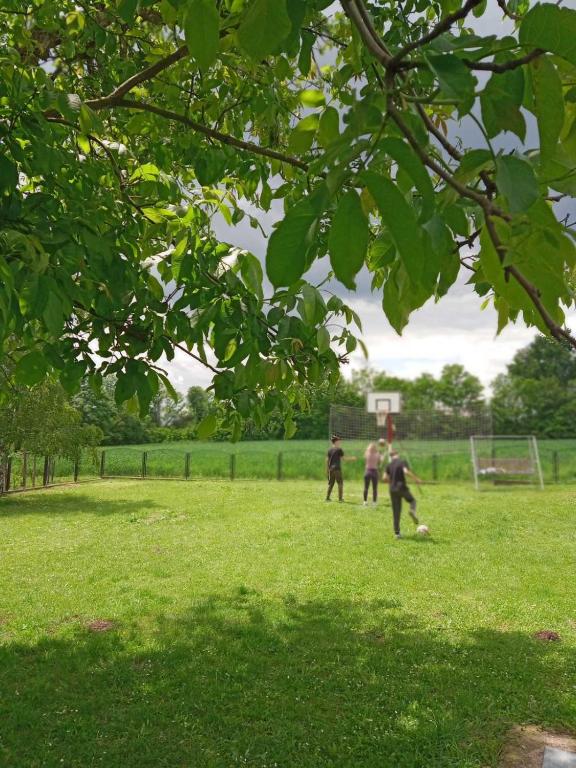 Ranc M, Stepojevac (prisene oppdatert 2025)