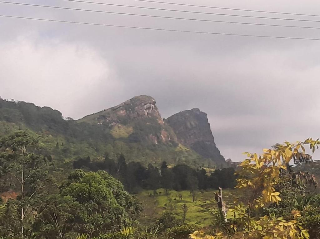 Pekoe Paradise, Galaha (updated prices 2025)