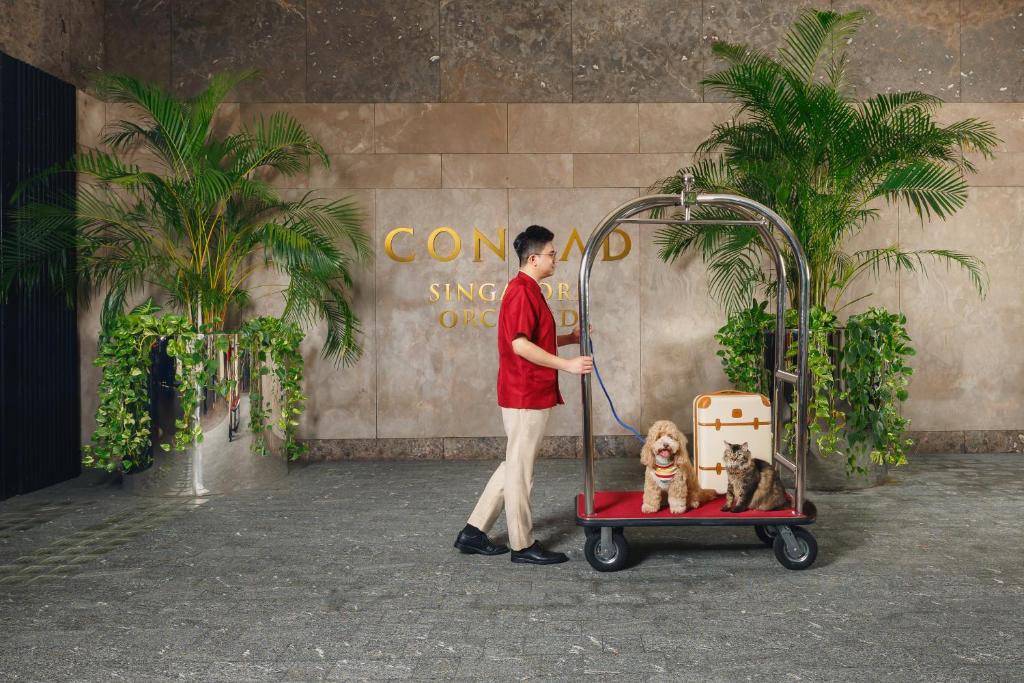 Conrad Singapore Orchard, Singapore (updated prices 2025)