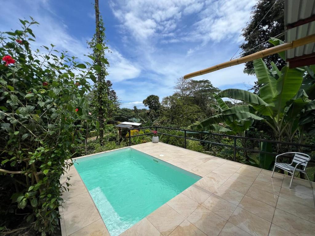 波多維耶荷Between Cahuita and Puerto Viejo Excellent Location（2025 年最新房價）