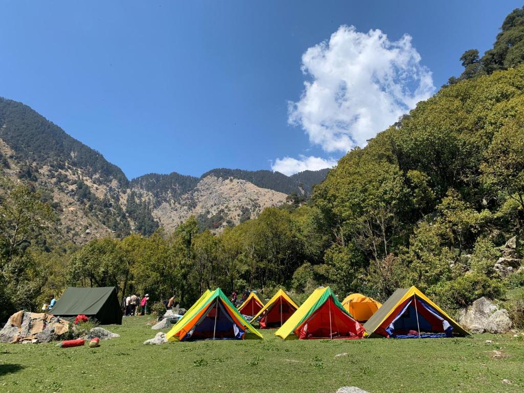 Kareri Nomads Adventure Camp, Minkiānī (updated prices 2025)