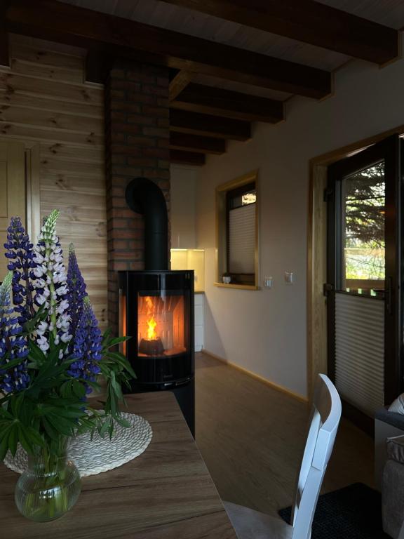 Domek nad Brzegiem- 20m od jeziora, Wiele (updated prices 2025)