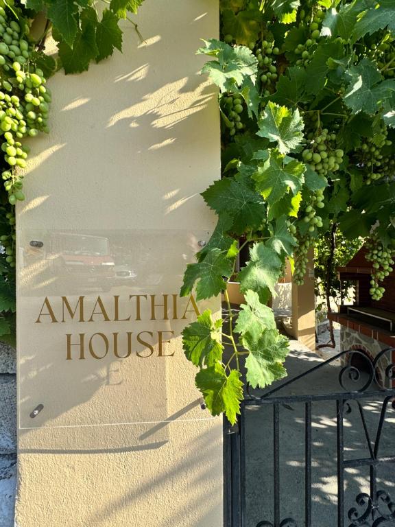 Amalthia House, Samos (tarifs actualisés, 2025)