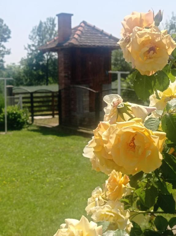 Vintage Village Serbia, Stepojevac (aktualisierte Preise für 2025)