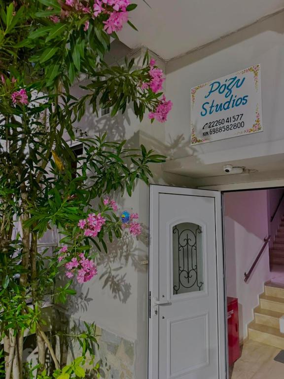 Rozy Studios, Rovies (precios actualizados 2025)