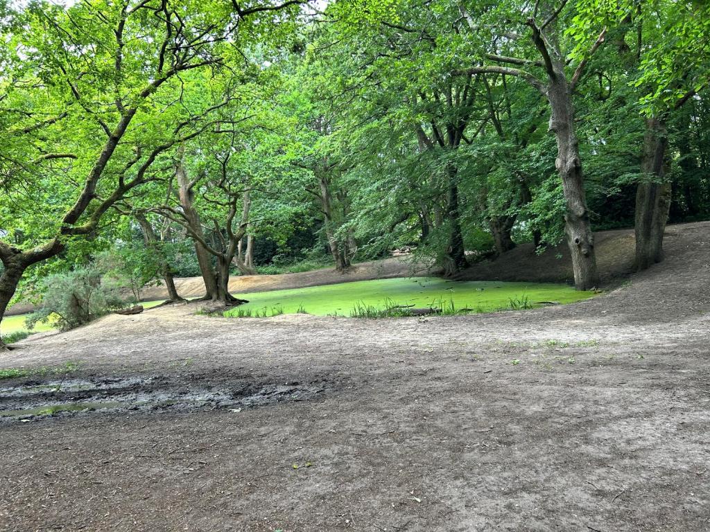 La Gaffe - Bed and Breakfast, London (updated prices 2025)