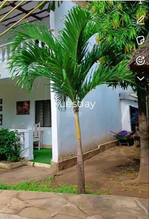 Diani Haven Executive Studio, Ukunda (updated prices 2025)