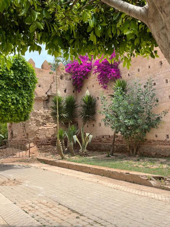 B&B Dar Rabia, Saidia (precios actualizados 2025)