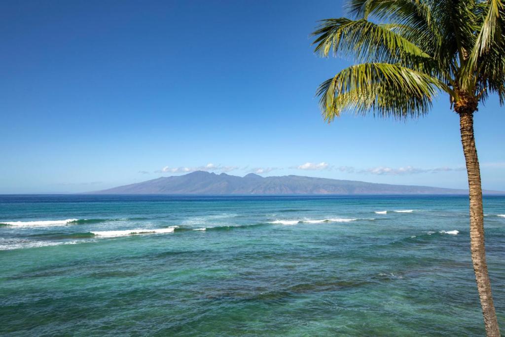 KBM Resorts Spacious 4-Bedroom Lokelani Collection Multi Unit Listing ...